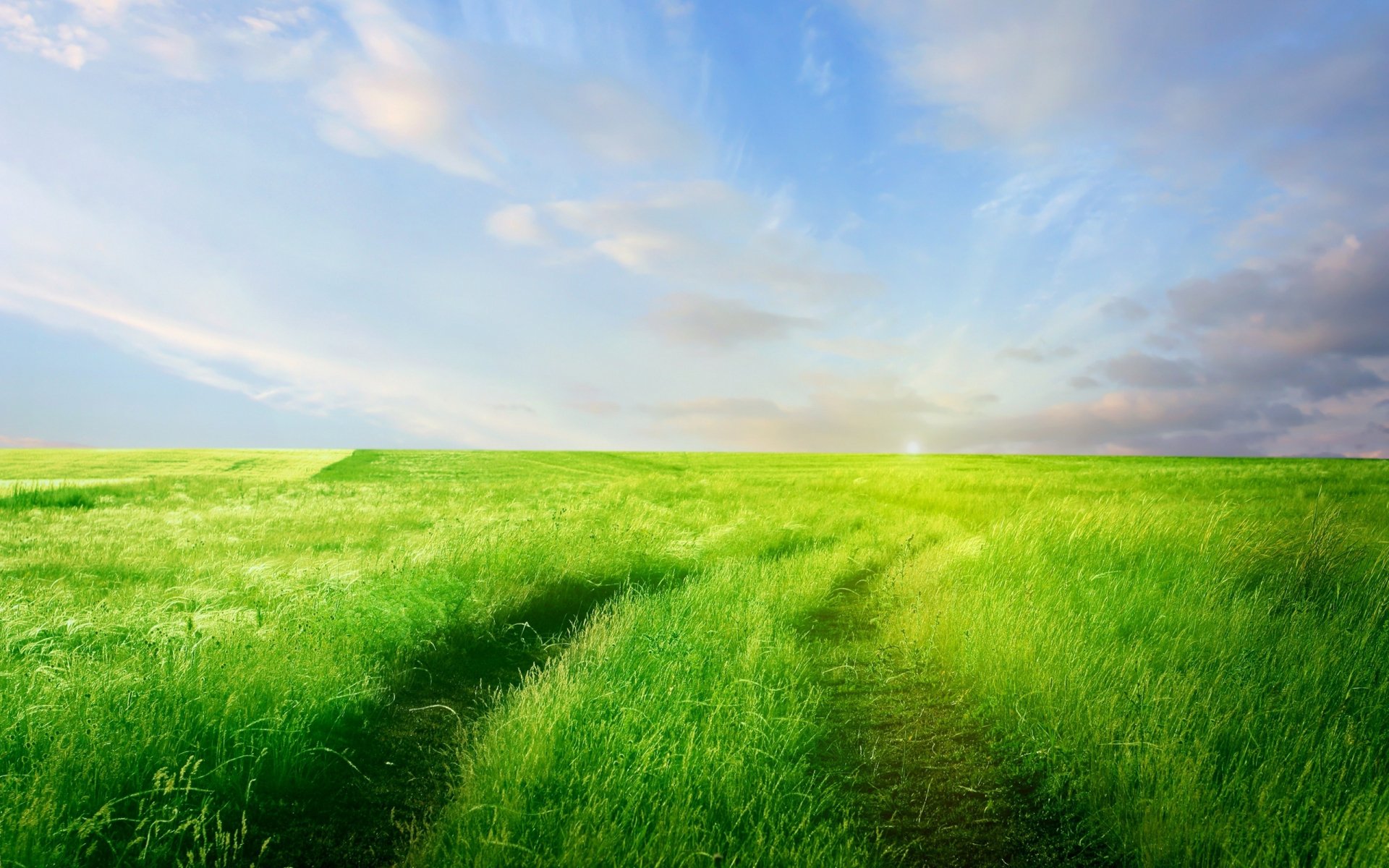 Vibrant Nature Field HD Wallpaper: A Serene Green Escape | 2560x1600 ...