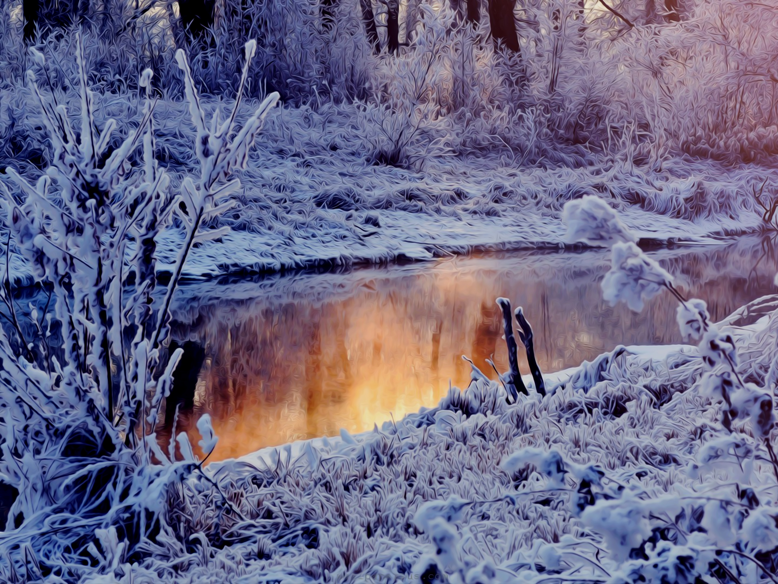 Winter’s Embrace: Serene Nature Reflections in HD
