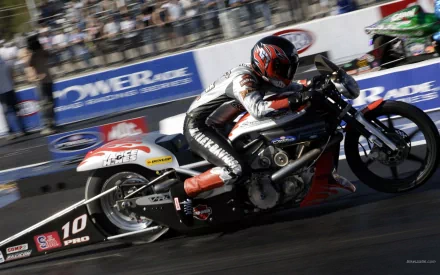 Harley-Davidson V-Rod - Desktop Wallpapers, Phone Wallpaper, PFP, Gifs ...