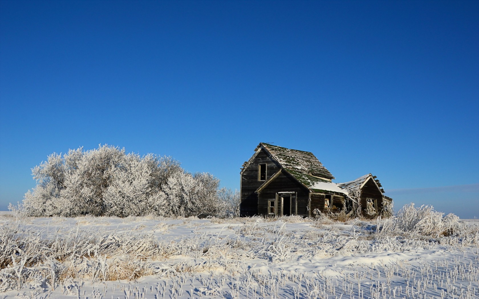 Download Man Made House Wallpaper