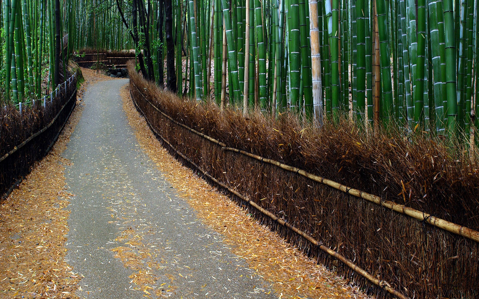 Download Man Made Road HD Wallpaper