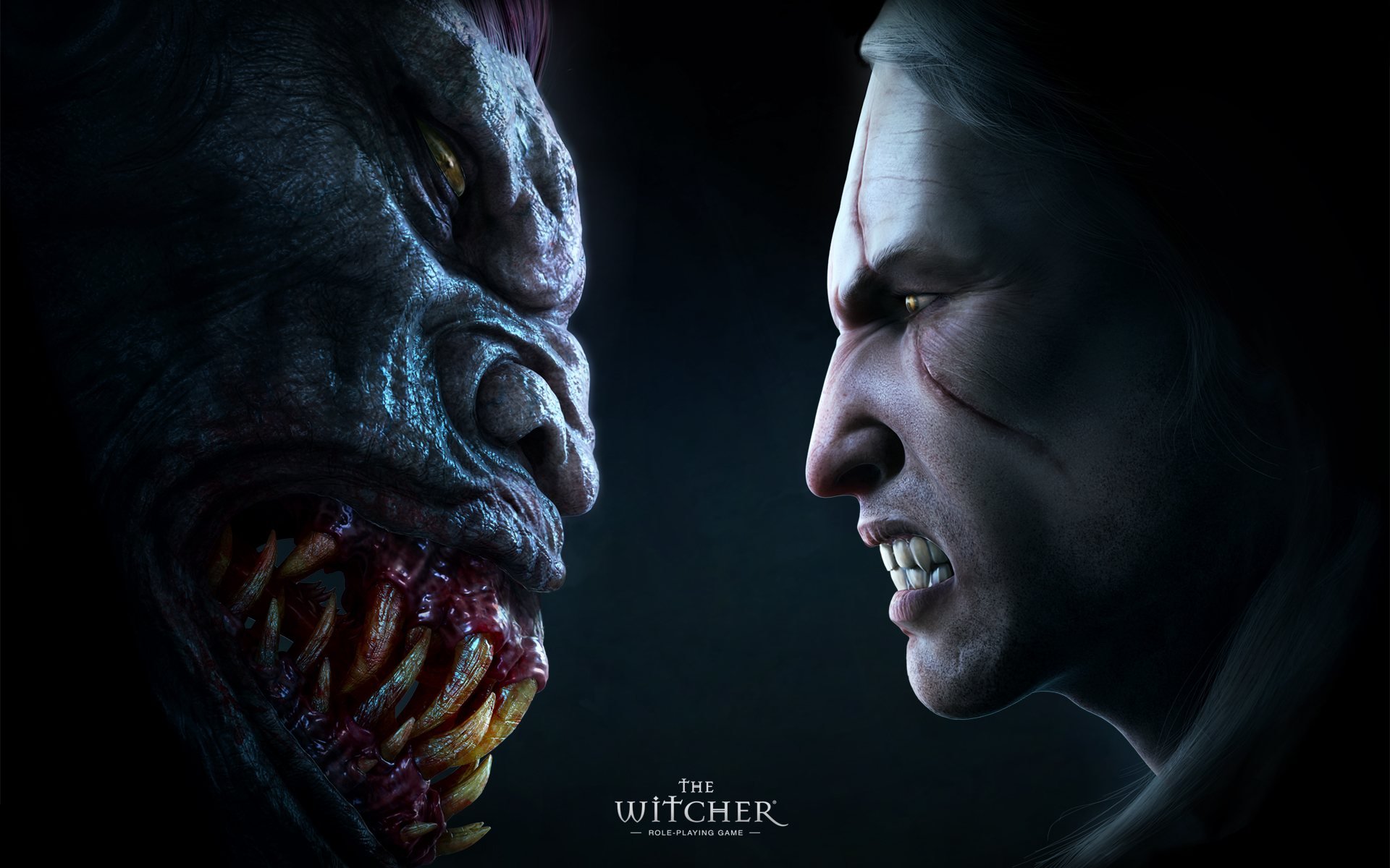 Download Video Game The Witcher HD Wallpaper