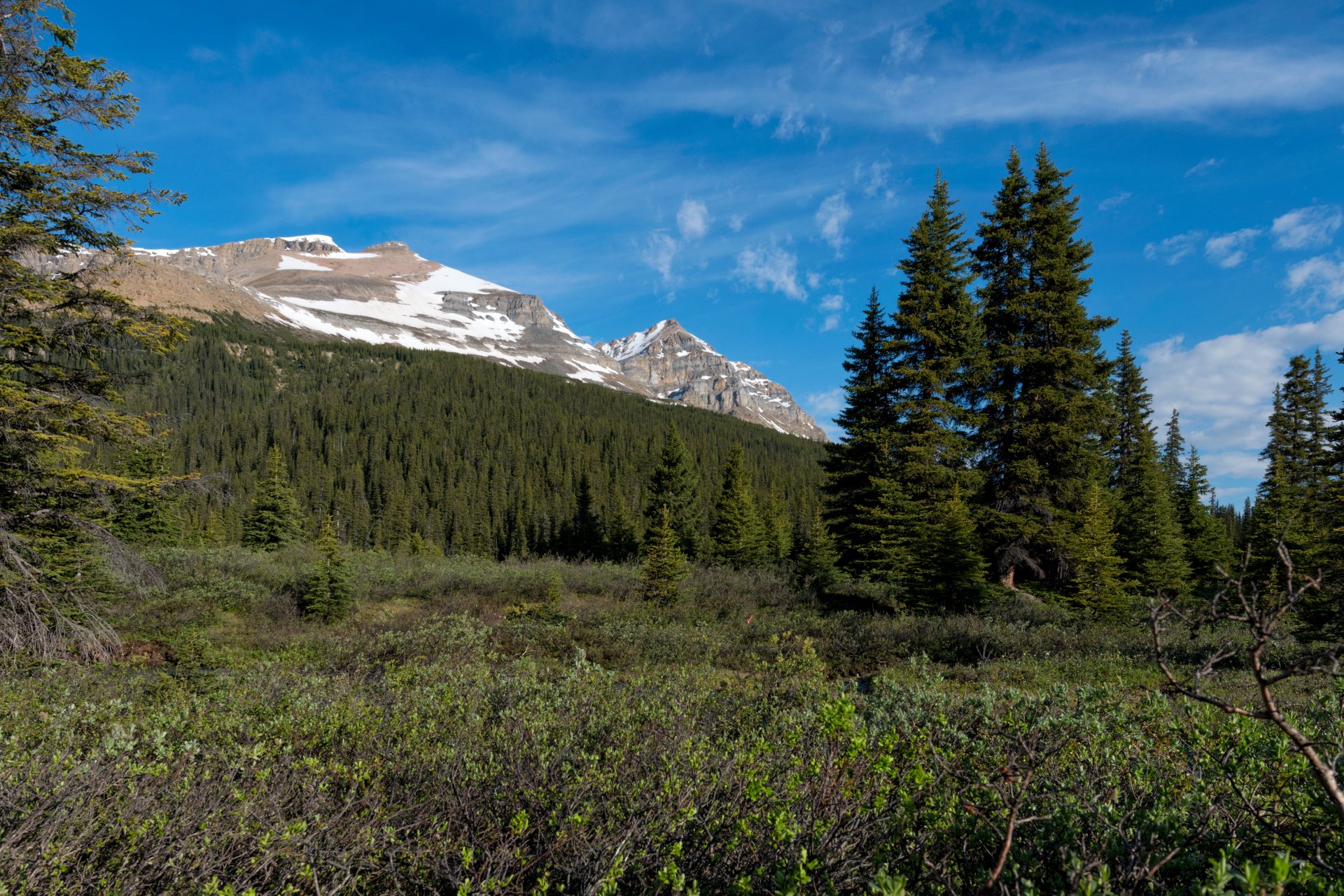 Majestic 4K Nature Landscape: Pristine Mountains and Forest Vista ...