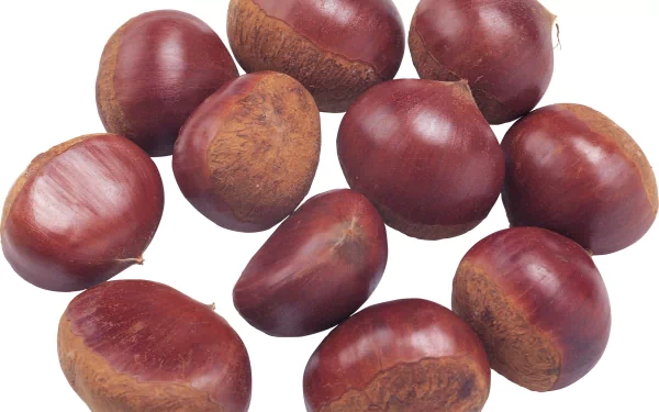 [20+] Chestnut Wallpapers