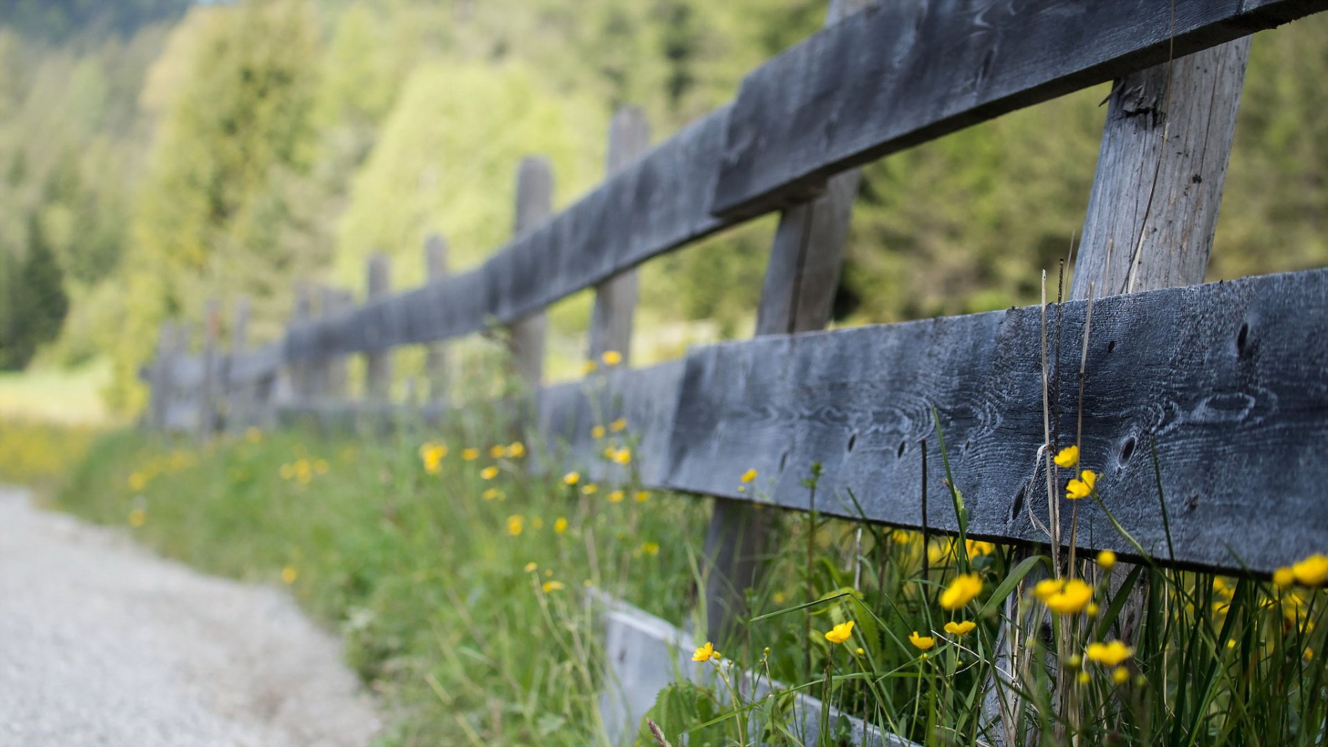 Rustic Wooden Fence: Man-Made Beauty in HD Wallpaper