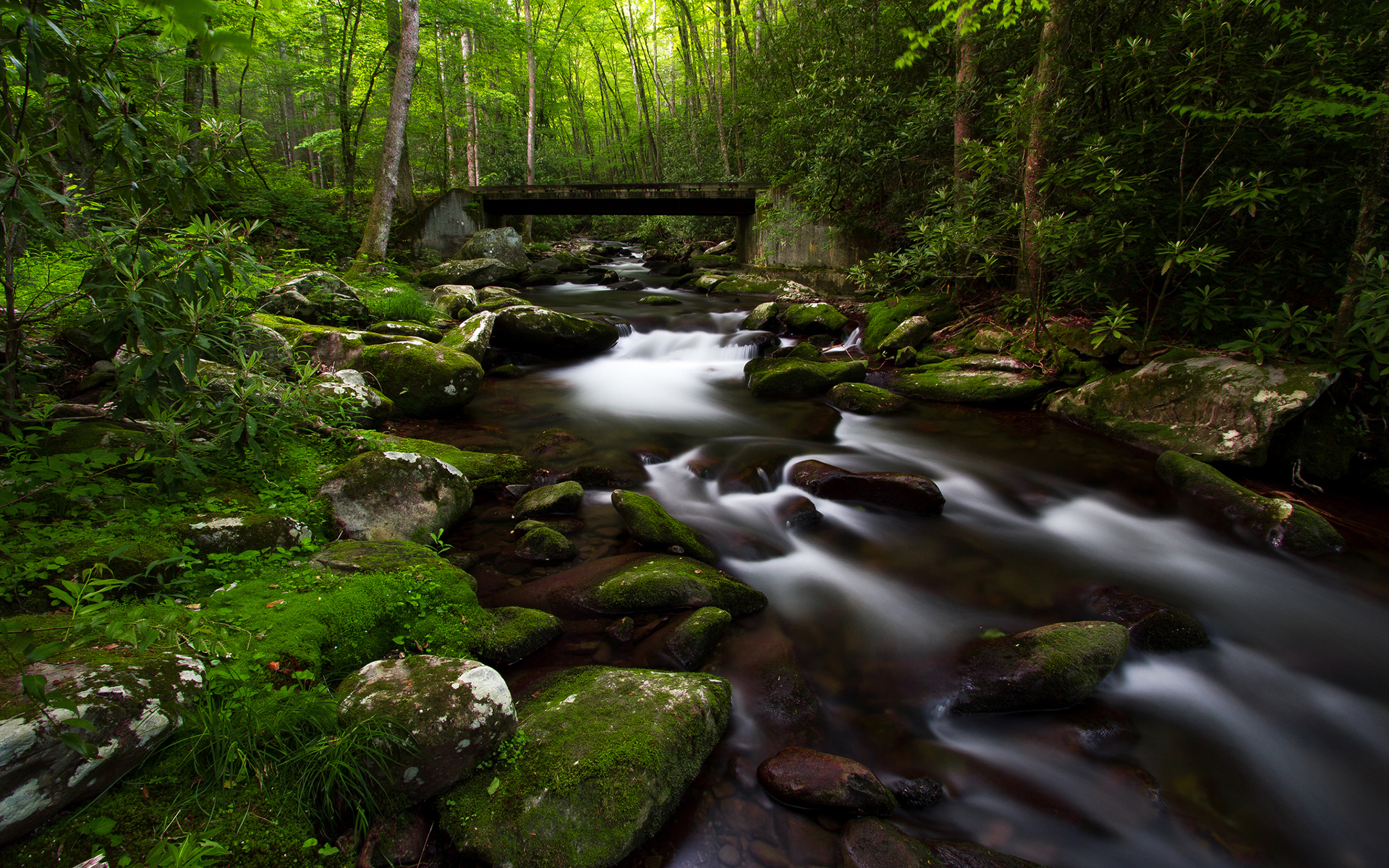 Download Nature River HD Wallpaper