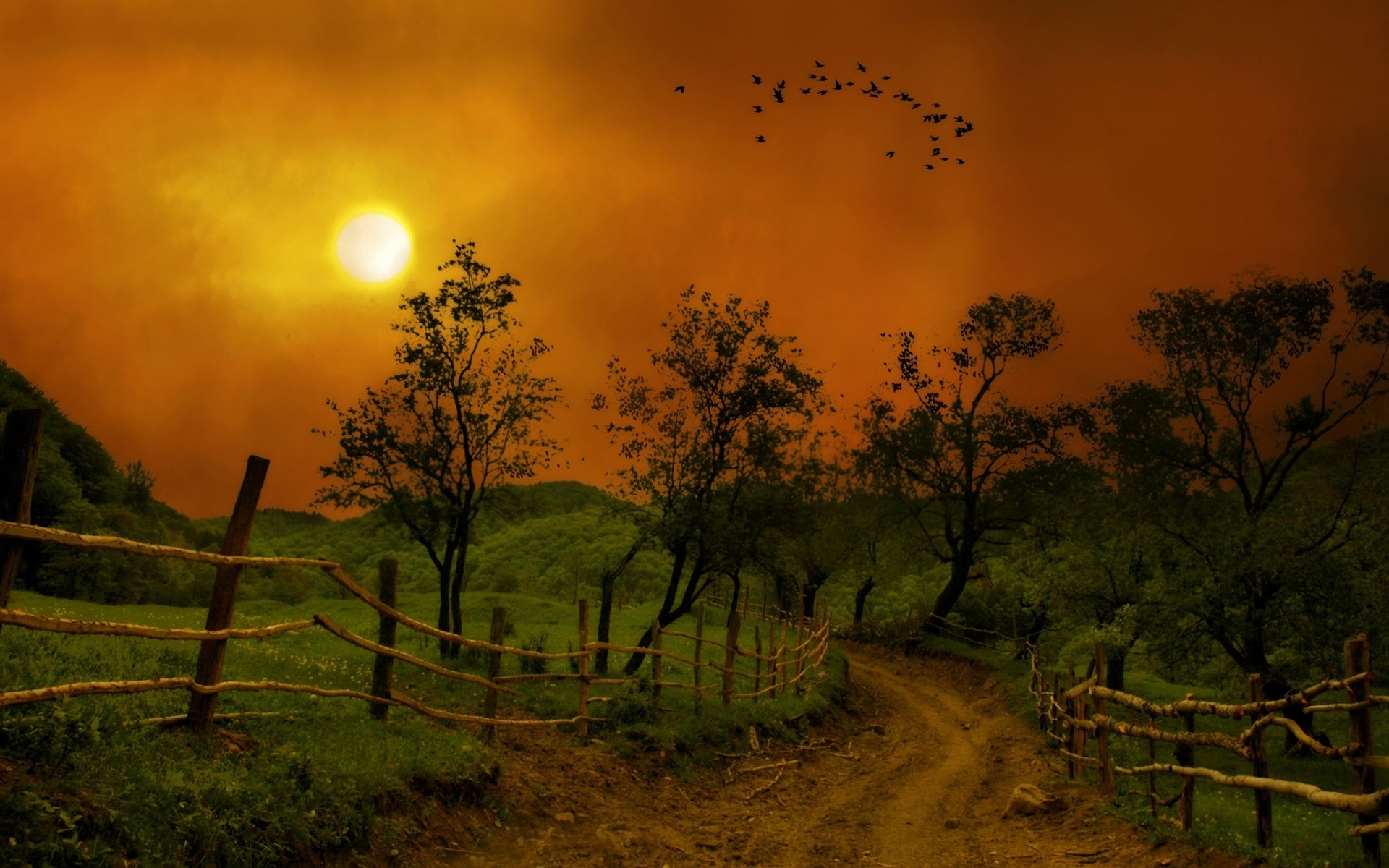 Man Made Path HD Wallpaper man-made-path-hd-wallpaper