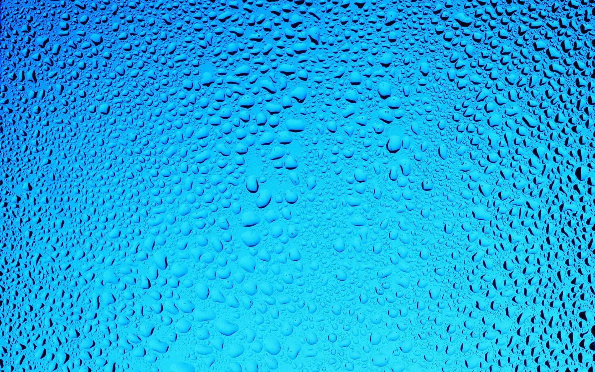 Download Photography Raindrops HD Wallpaper