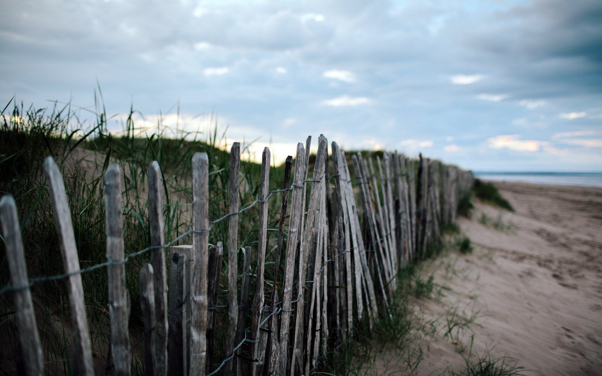 Serene Coastal Fence: Man-Made Boundaries by the Shore in HD