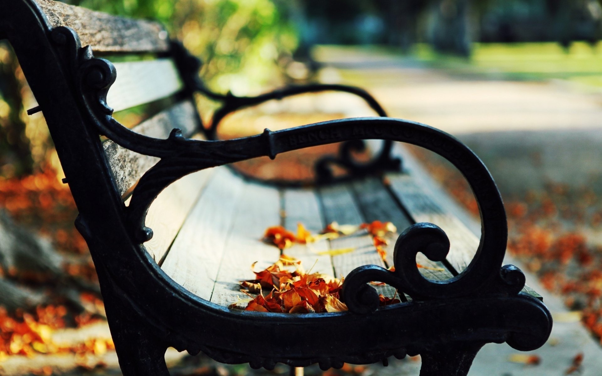 Serene Park Bench: A Man-Made Retreat in HD | 2560x1600 | Wallpaper Abyss