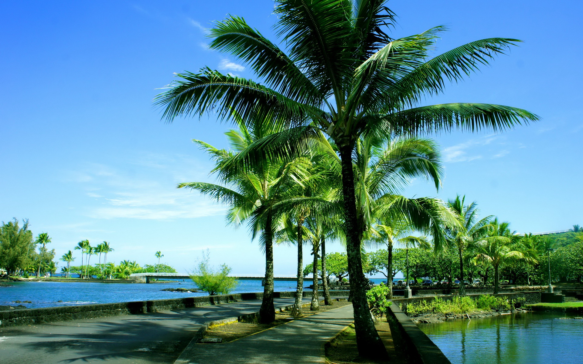 Download Photography Holiday HD Wallpaper