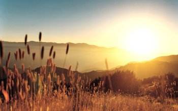 Download Nature Landscape PFP