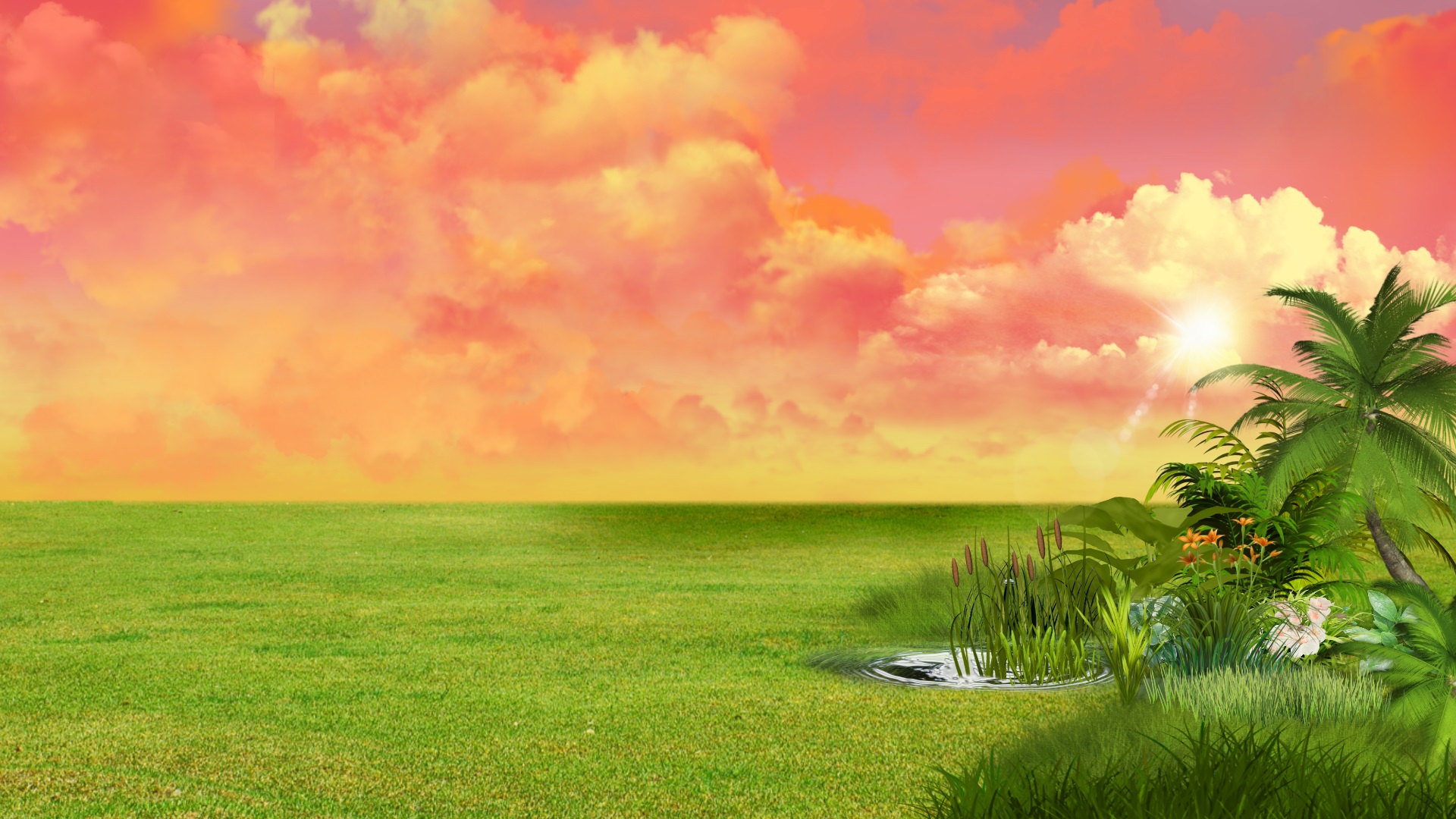 Jungle Landscape 8 Hd