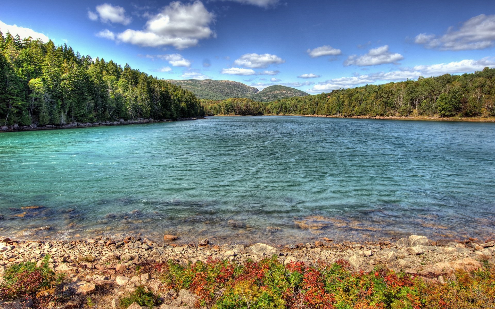 Download Nature Lake HD Wallpaper | 1920x1200 | Wallpaper Abyss