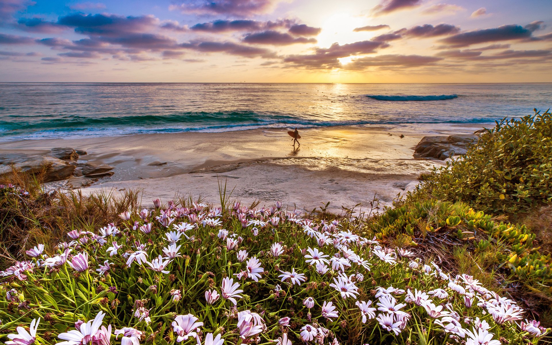 Download Nature Beach HD Wallpaper | 1920x1200 | Wallpaper Abyss