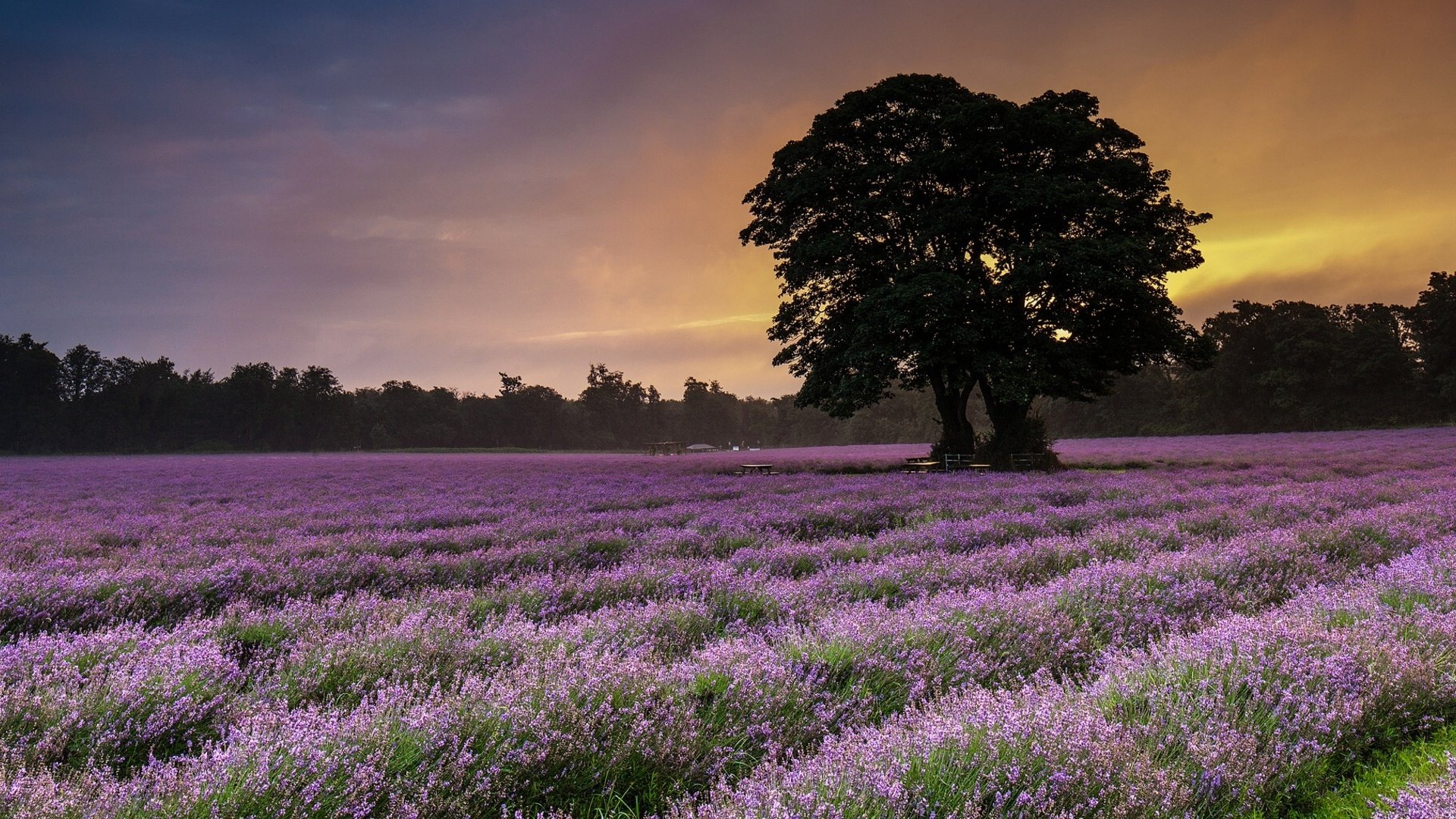 Download Nature Landscape HD Wallpaper | 1920x1080 | Wallpaper Abyss