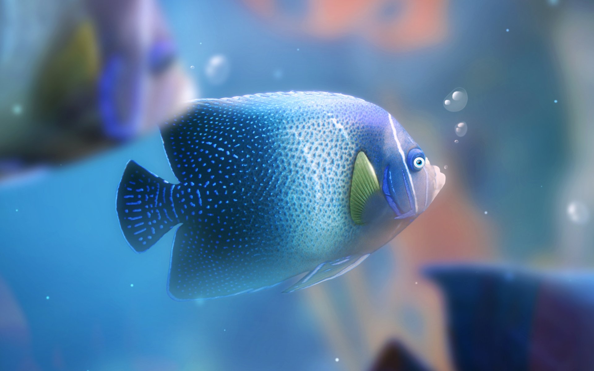 Download Animal Fish HD Wallpaper