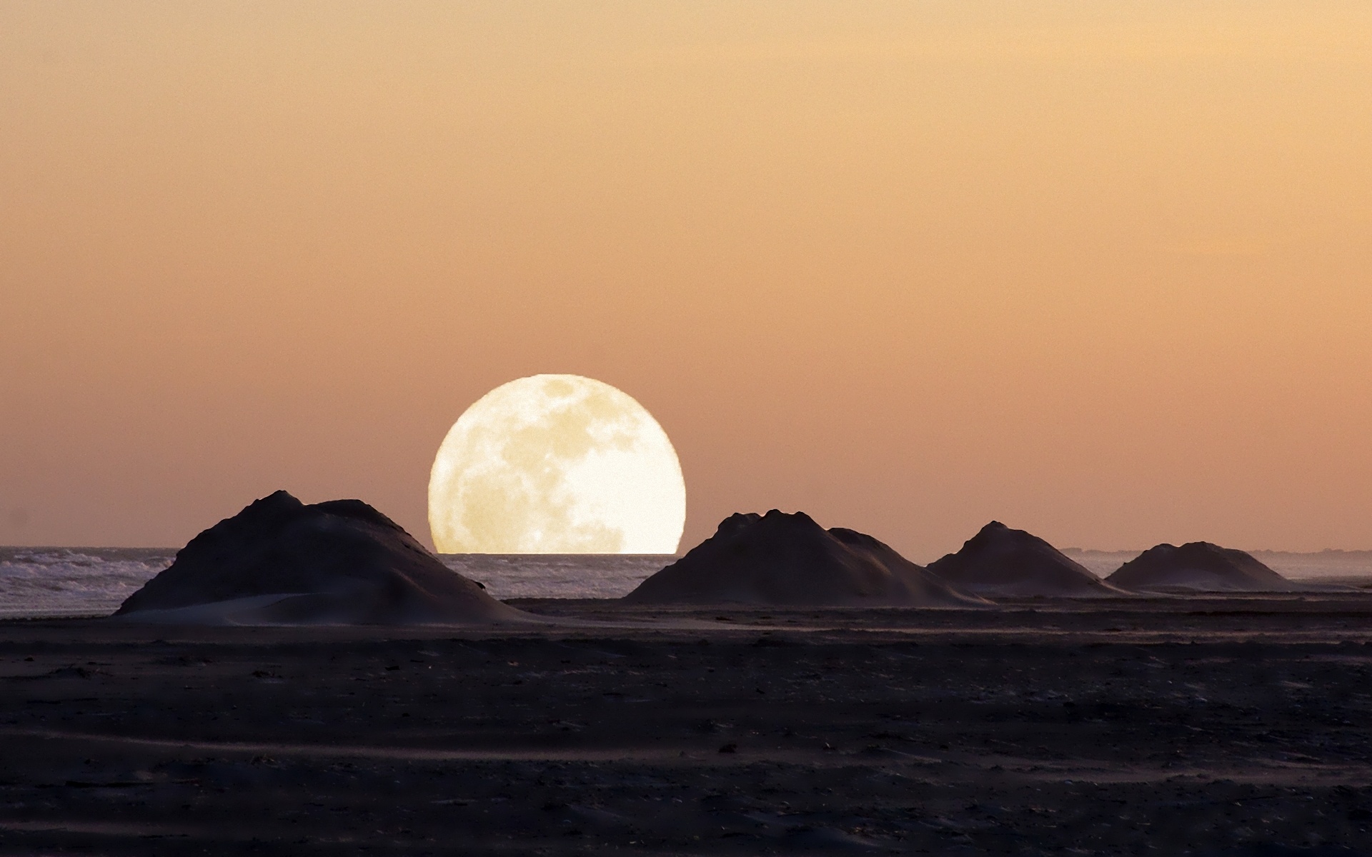 Serene Moonrise Over Nature’s Silent Horizon - HD Wallpaper