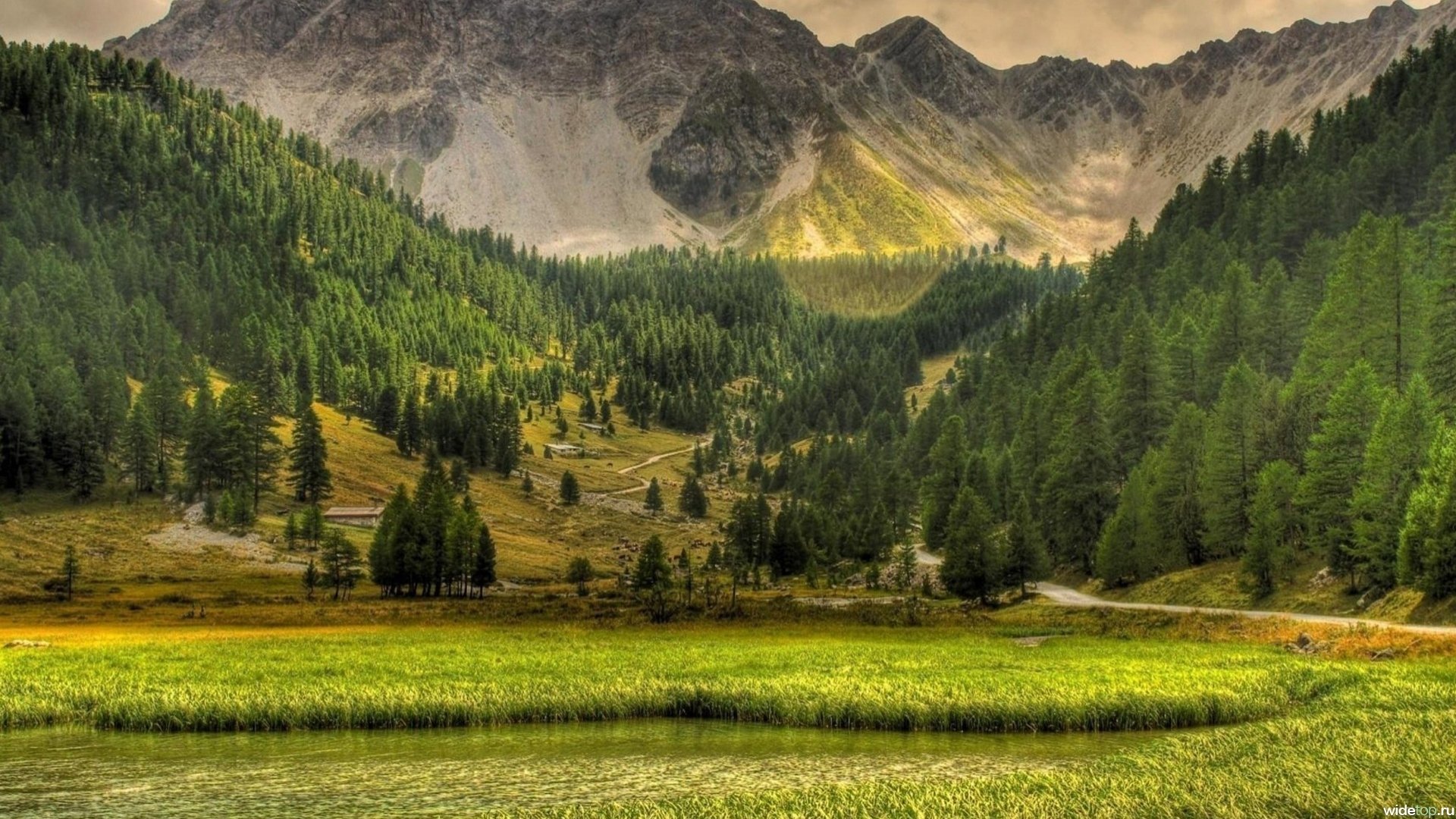 Hi Def Wallpapers For 1920x1080 Nature Download Nature Reflection HD