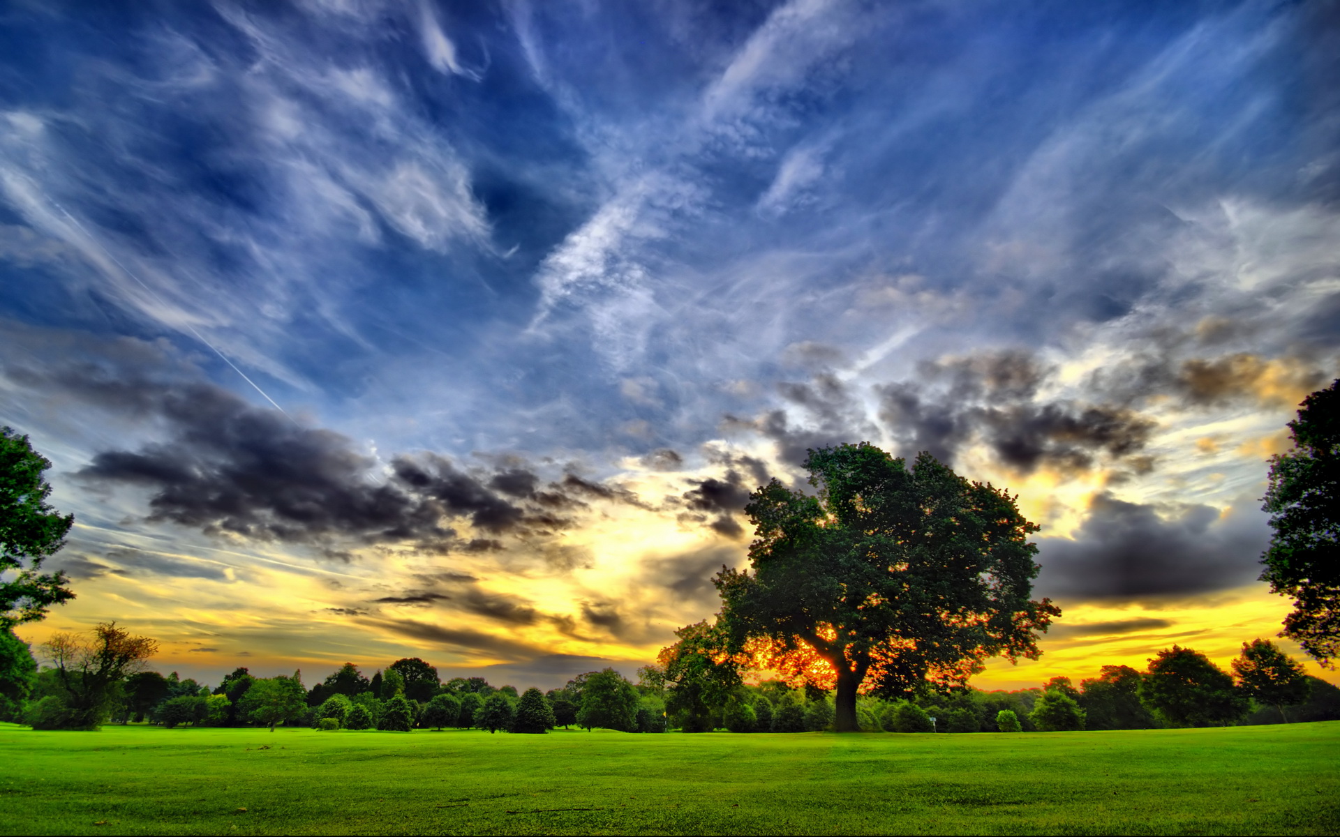 Stunning HD Nature Landscape: Majestic Tree Beneath a Dramatic Sunset Sky
