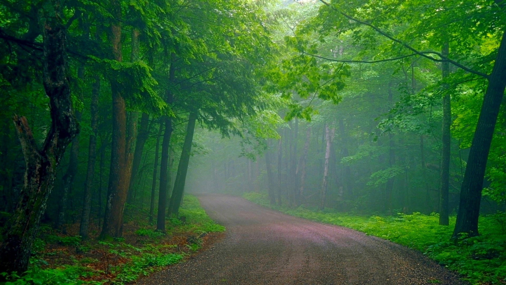 Download Man Made Road HD Wallpaper