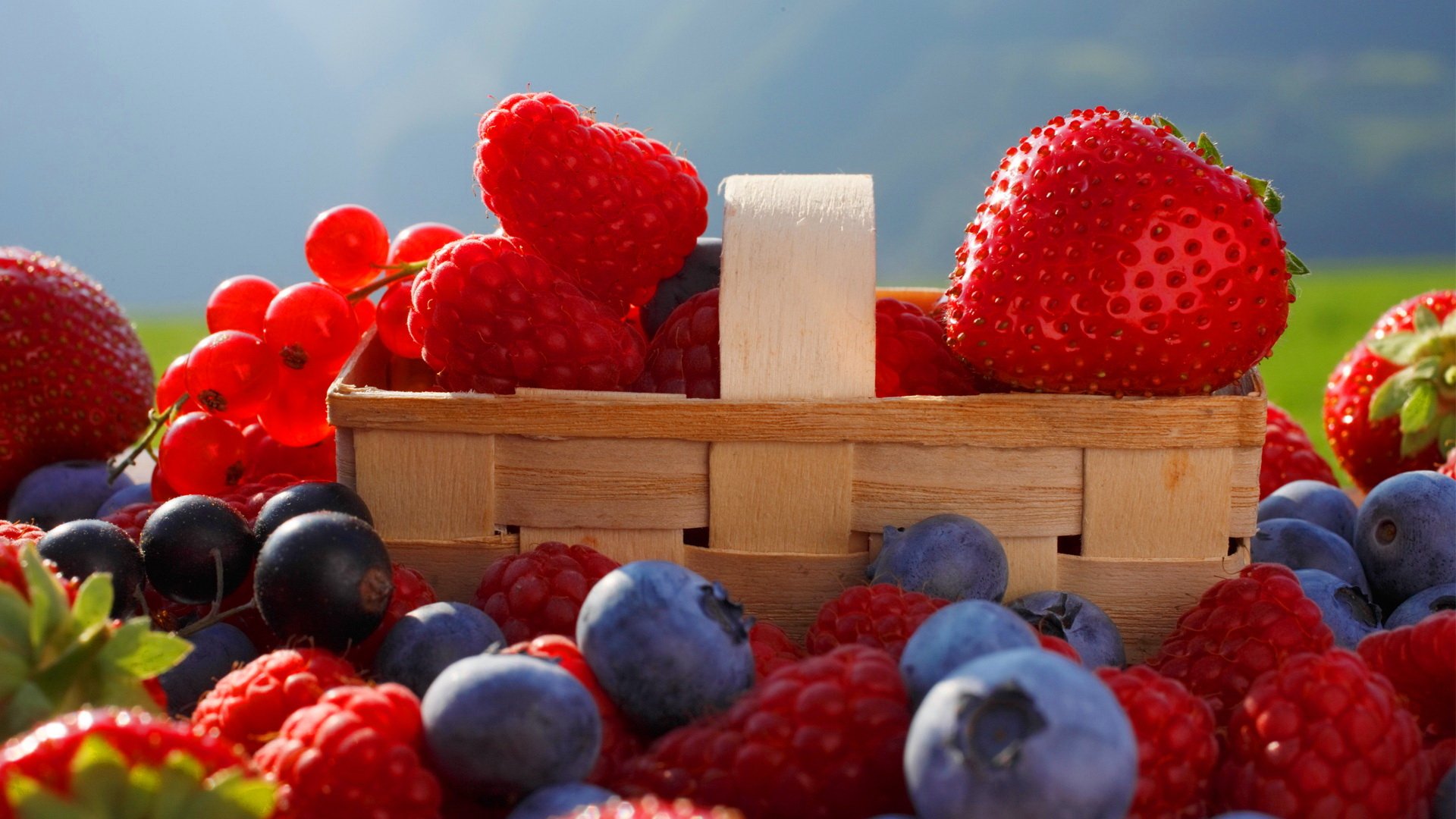 Vibrant Berry Medley HD Wallpaper – Fresh, Juicy & Delicious