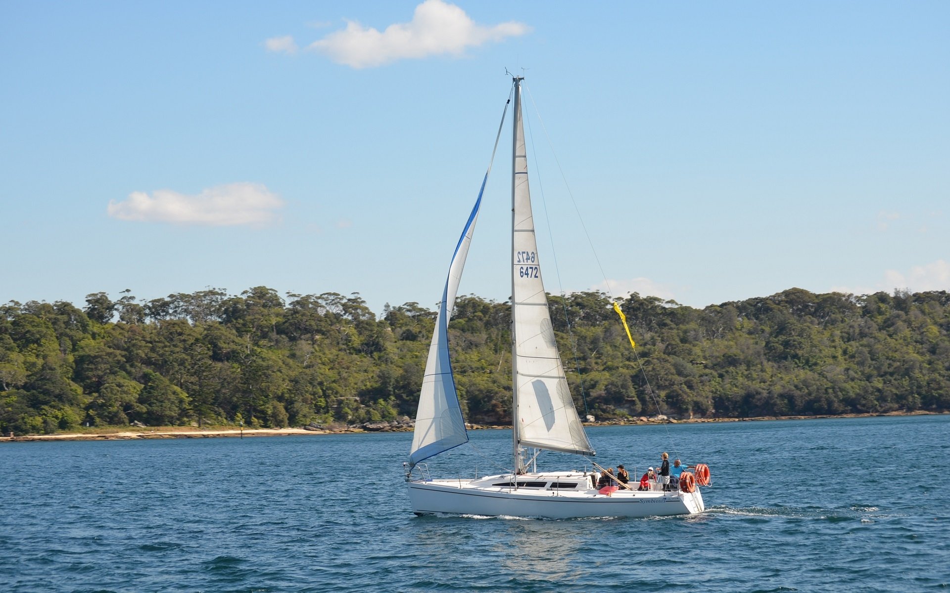 The Symbiosis Sail Boat On Sydney Harbour by lonewolf6738