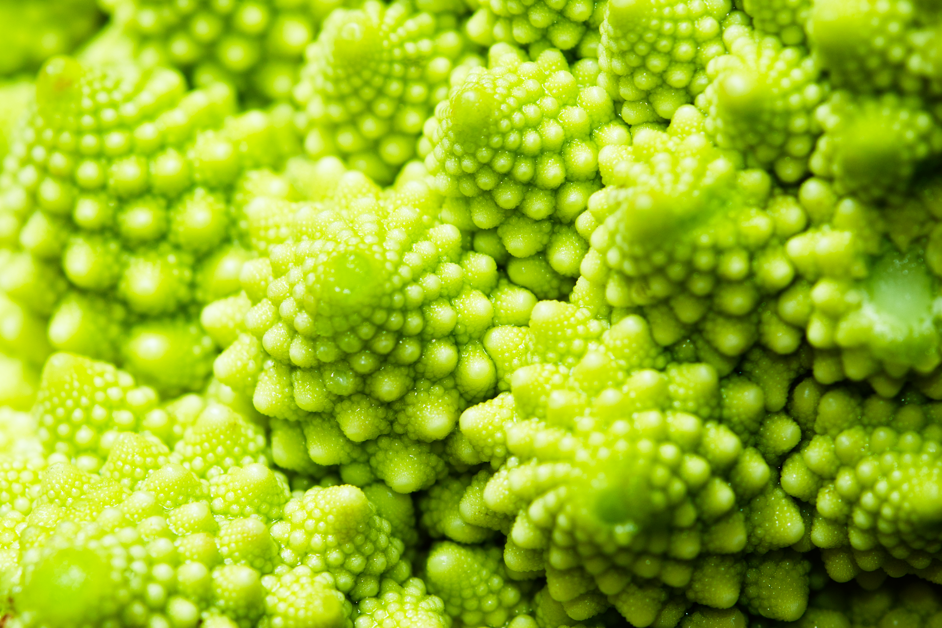 broccoli fractal