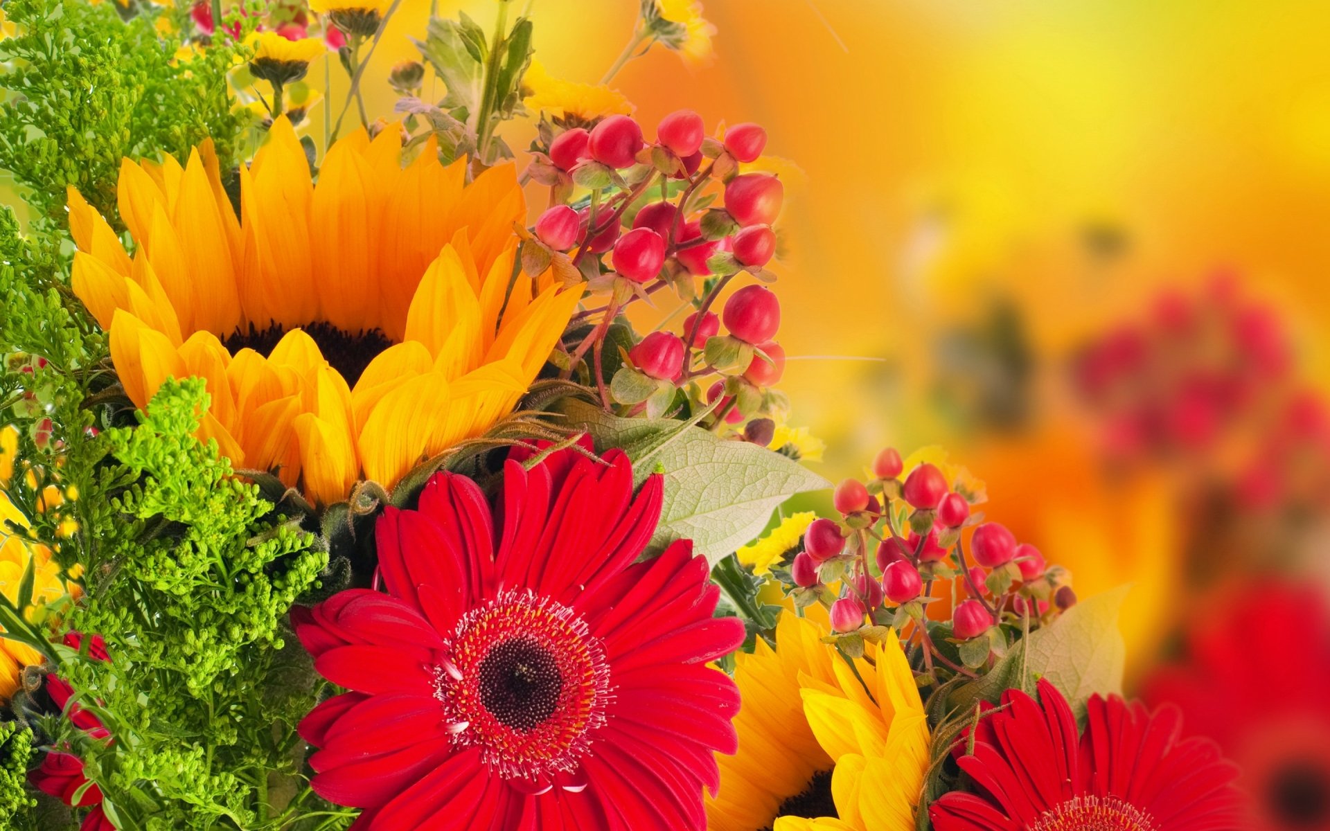 Vibrant Nature: Colorful Flower HD Wallpaper