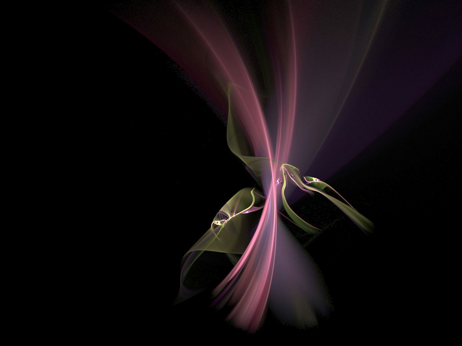 Boguet - Desktop Wallpapers, Phone Wallpaper, PFP, Gifs, and More!