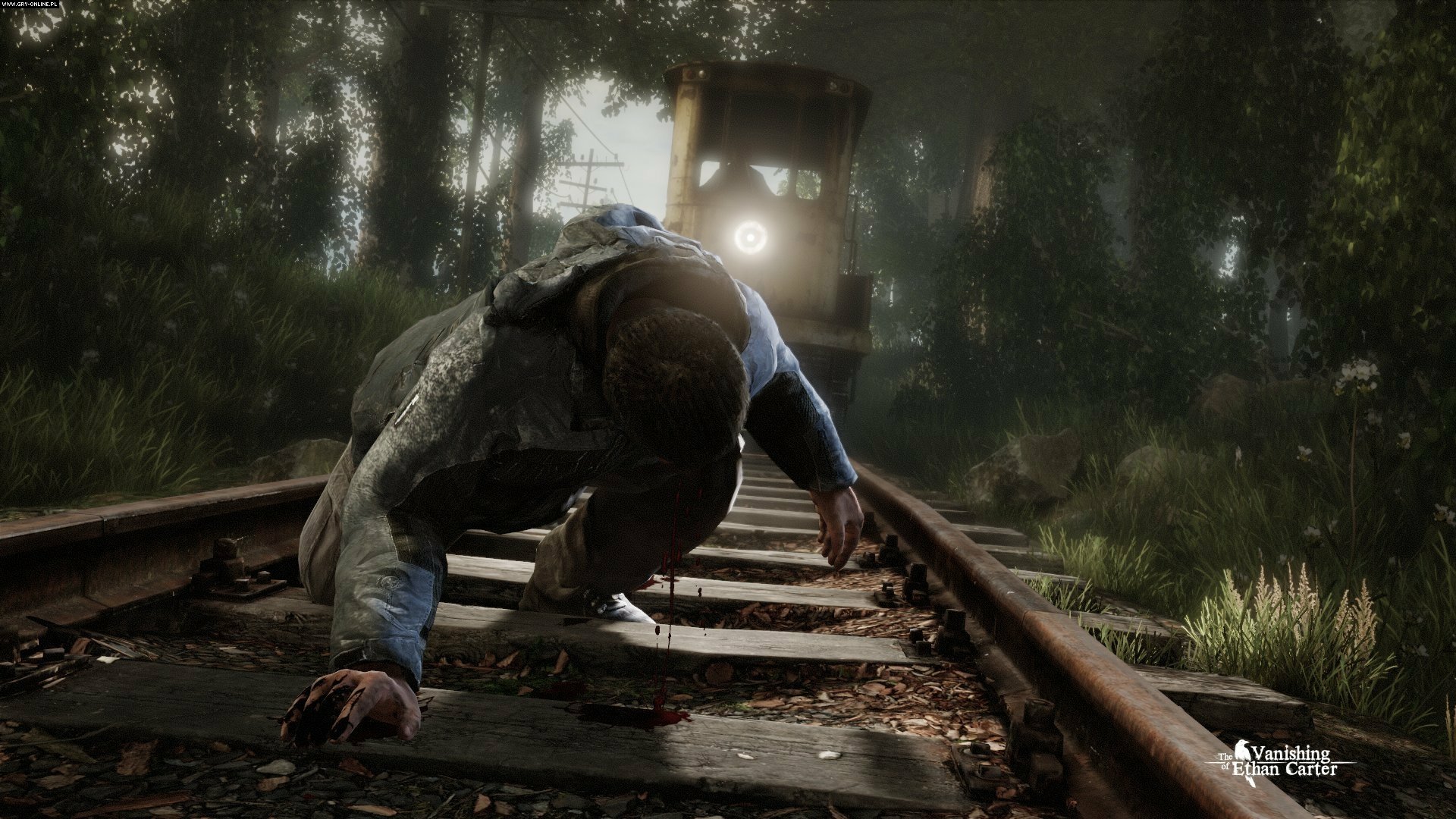 Download Video Game The Vanishing Of Ethan Carter HD Wallpaper