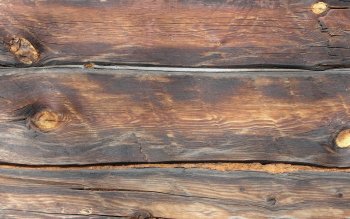 Artistic Wood Pfp