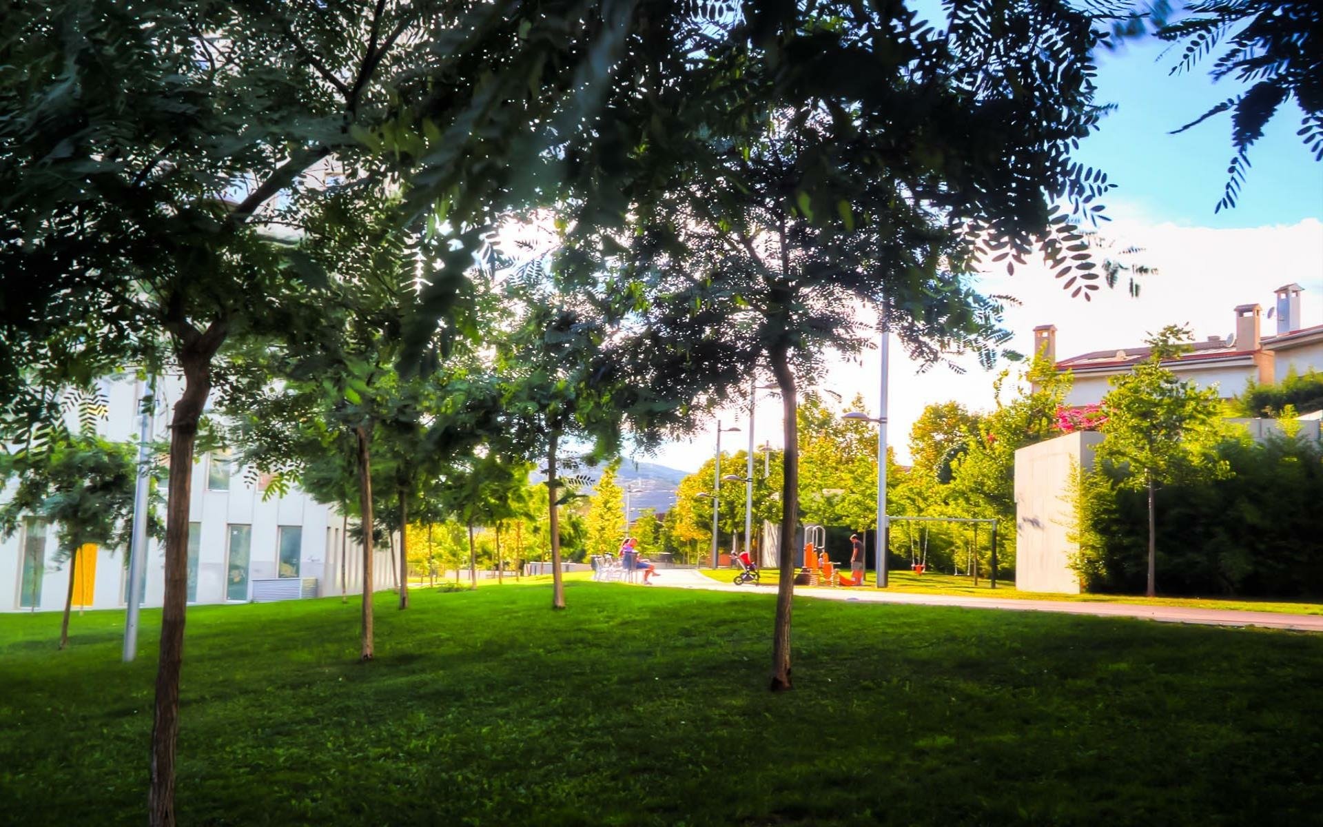 Download Photography Park HD Wallpaper by egcastillo67