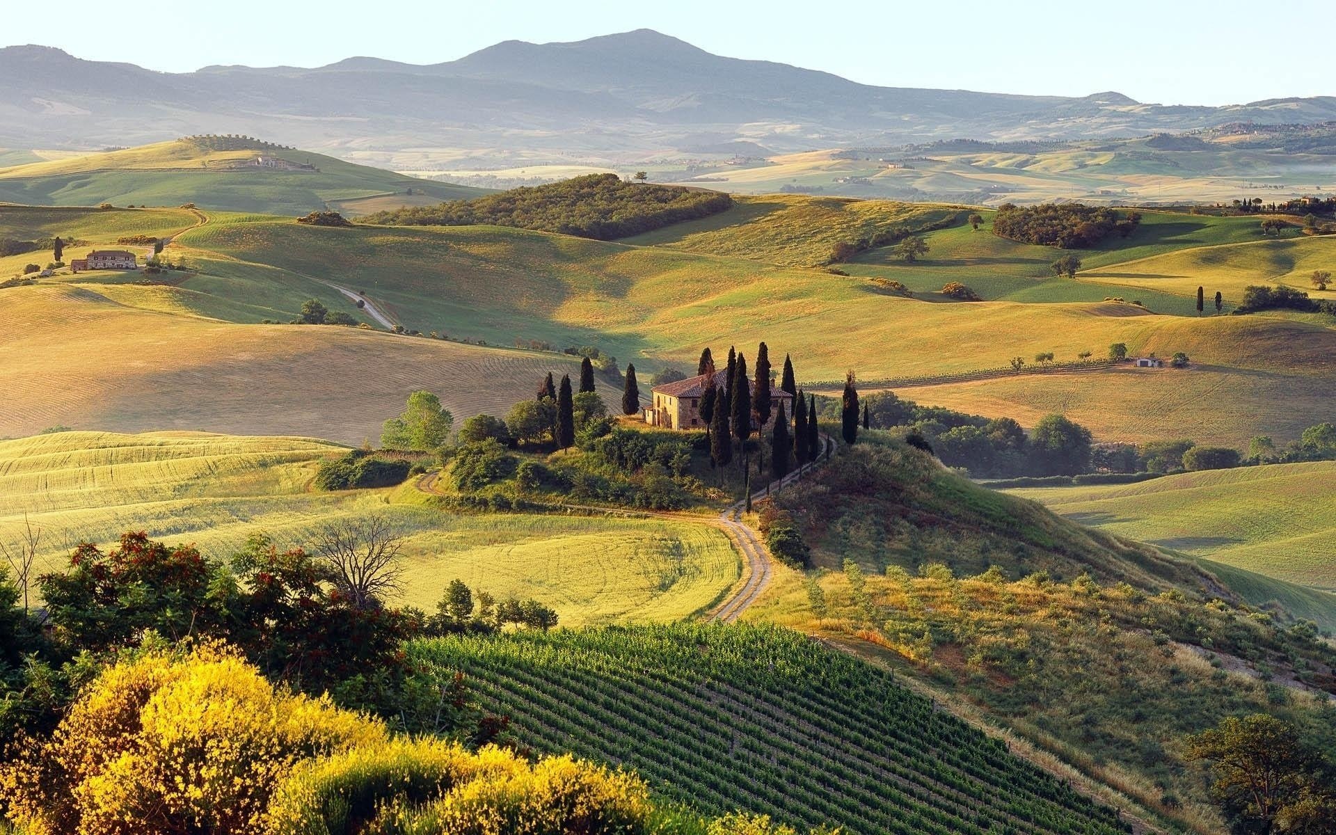 Stunning HD Landscape Photography: Serene Hillside Panorama | 1920x1200 ...