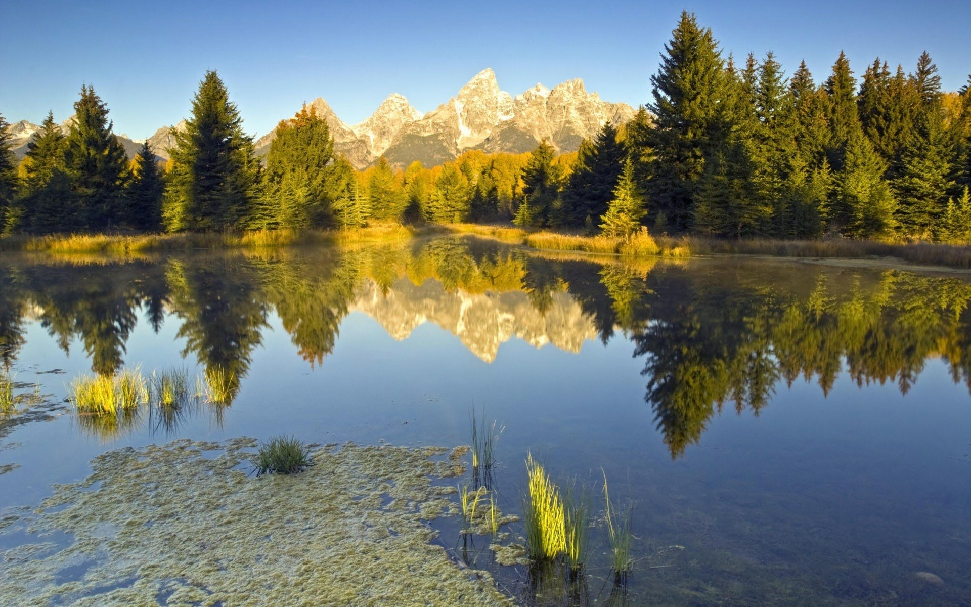 Alpine Mirror: HD Nature Reflection | 1920x1200 | Wallpaper Abyss