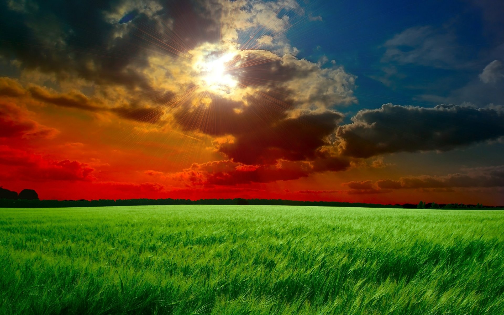 Vibrant Nature Landscape - HD Wallpaper