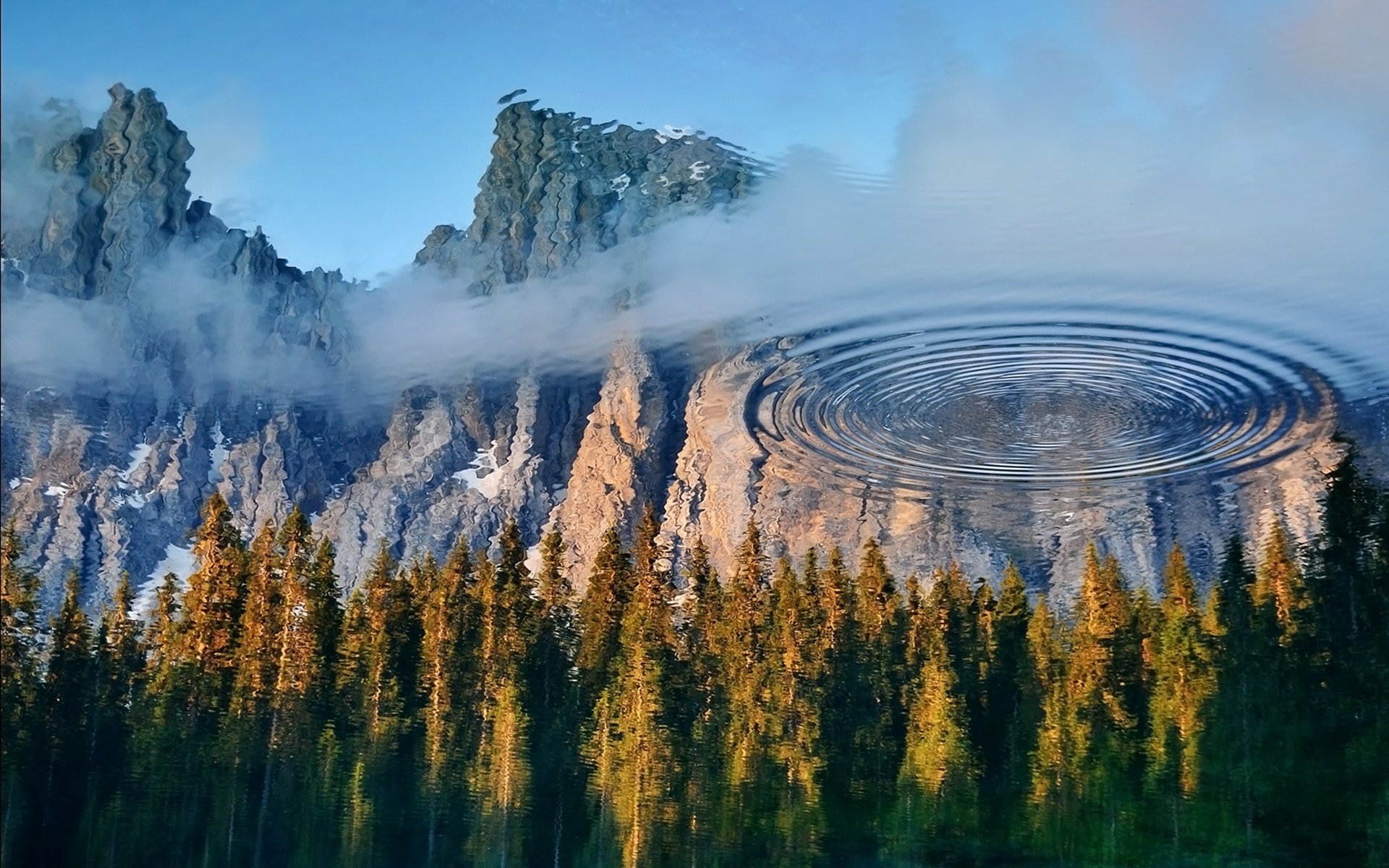 Download Nature Reflection HD Wallpaper