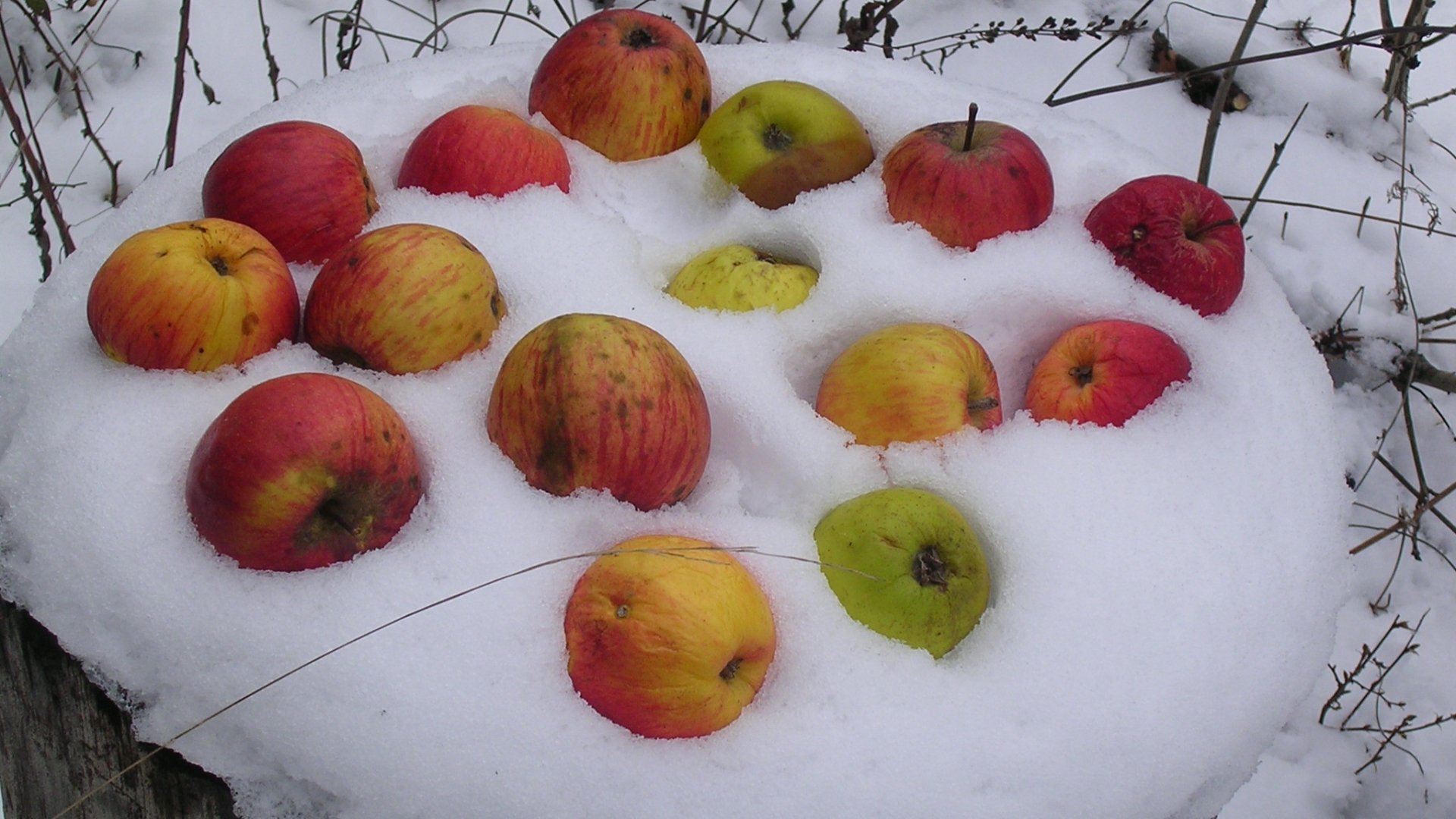 Download Snow Food Apple HD Wallpaper