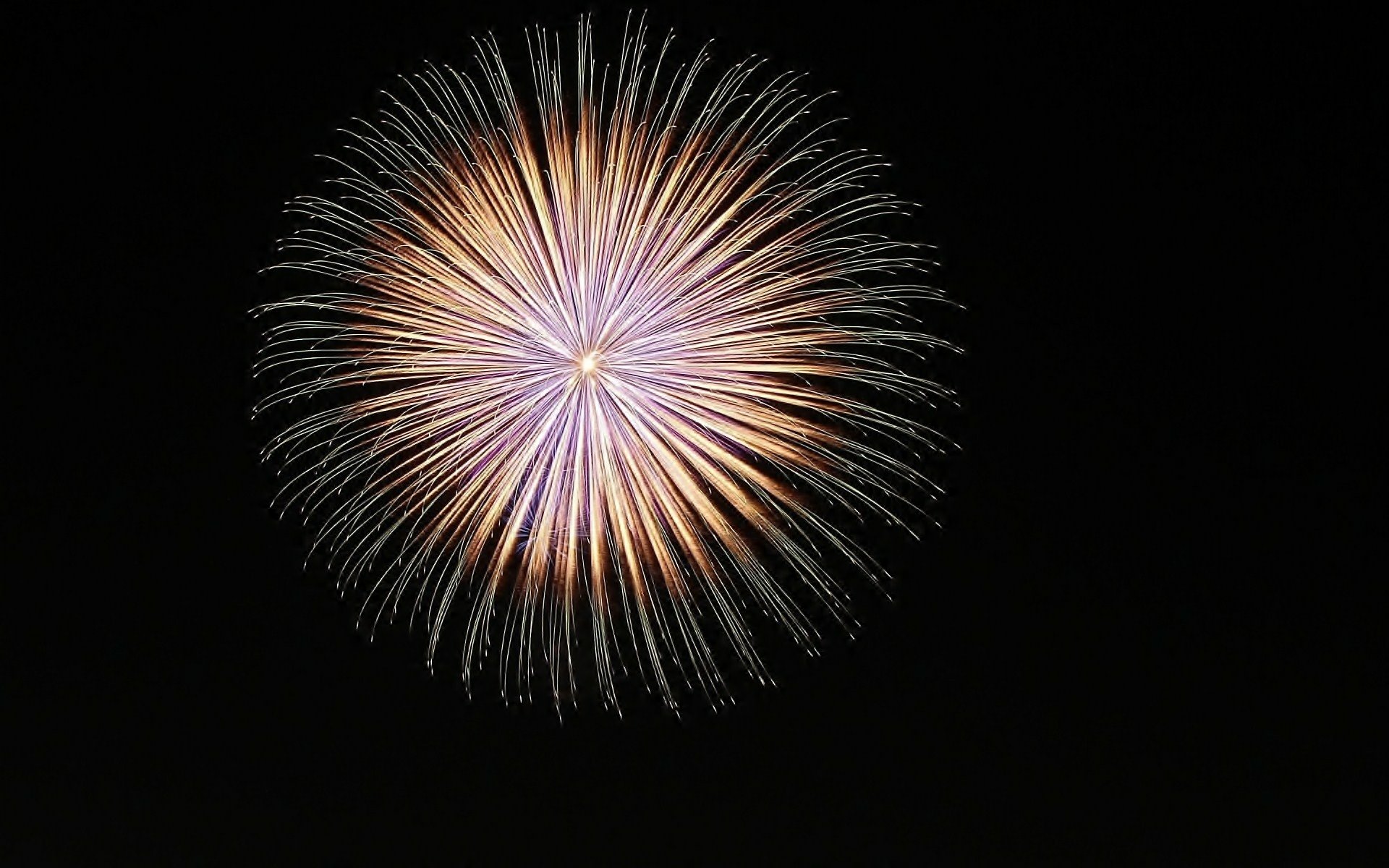 Midnight Chrysanthemum — HD Fireworks Photography Wallpaper | 1920x1200 ...
