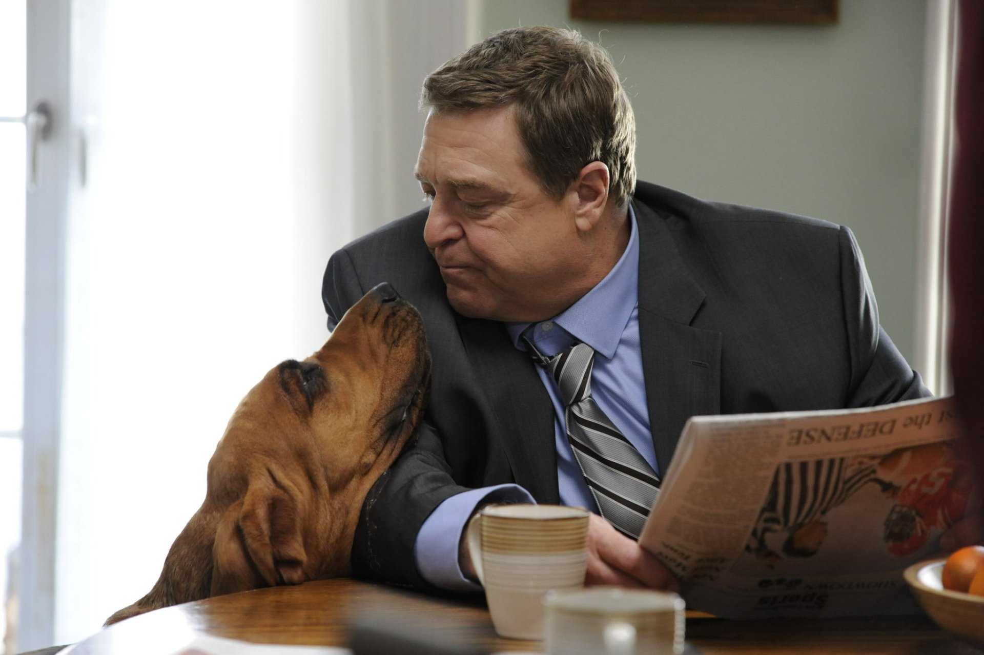 Alpha House Man and Dog Bonding Moment HD Wallpaper