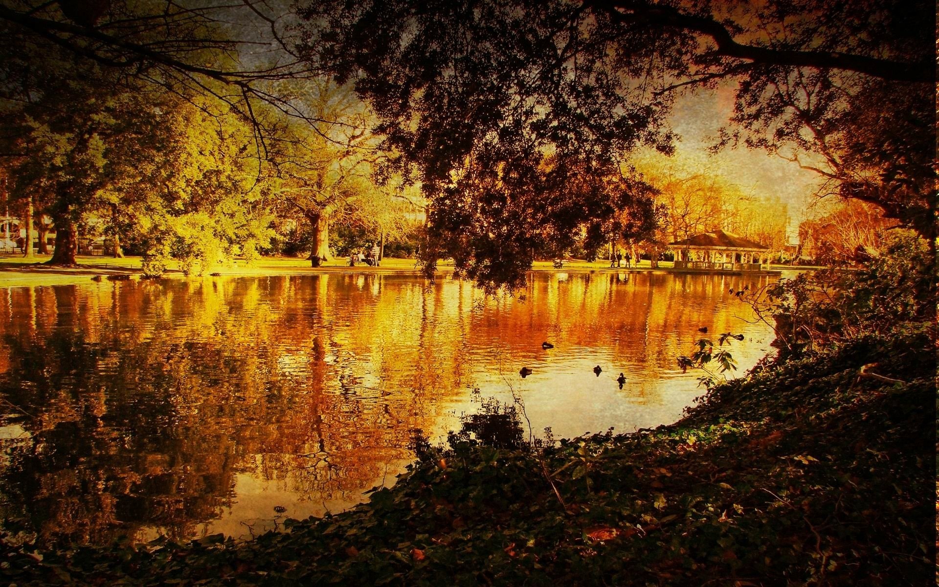 Serene Nature Landscape: Captivating HD Wallpaper | 1920x1200 ...