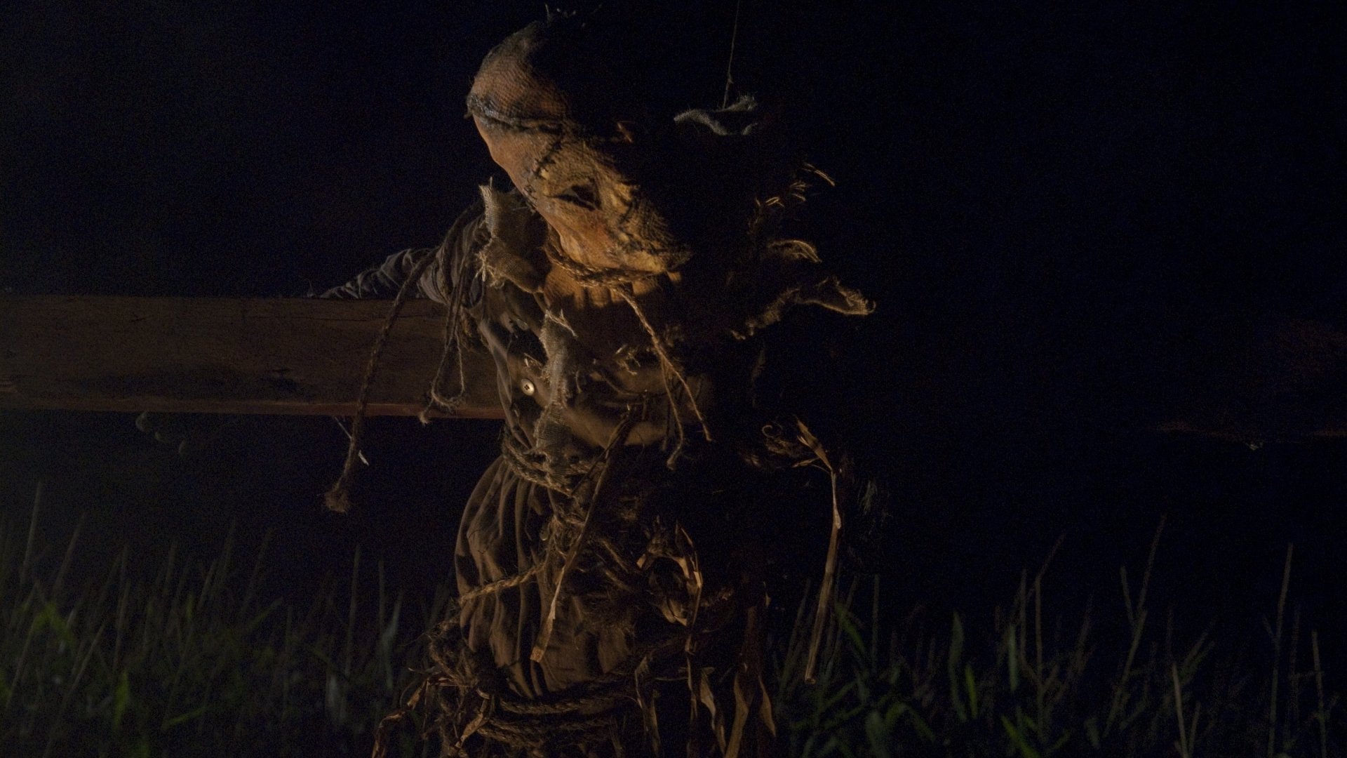 Download Movie Husk HD Wallpaper