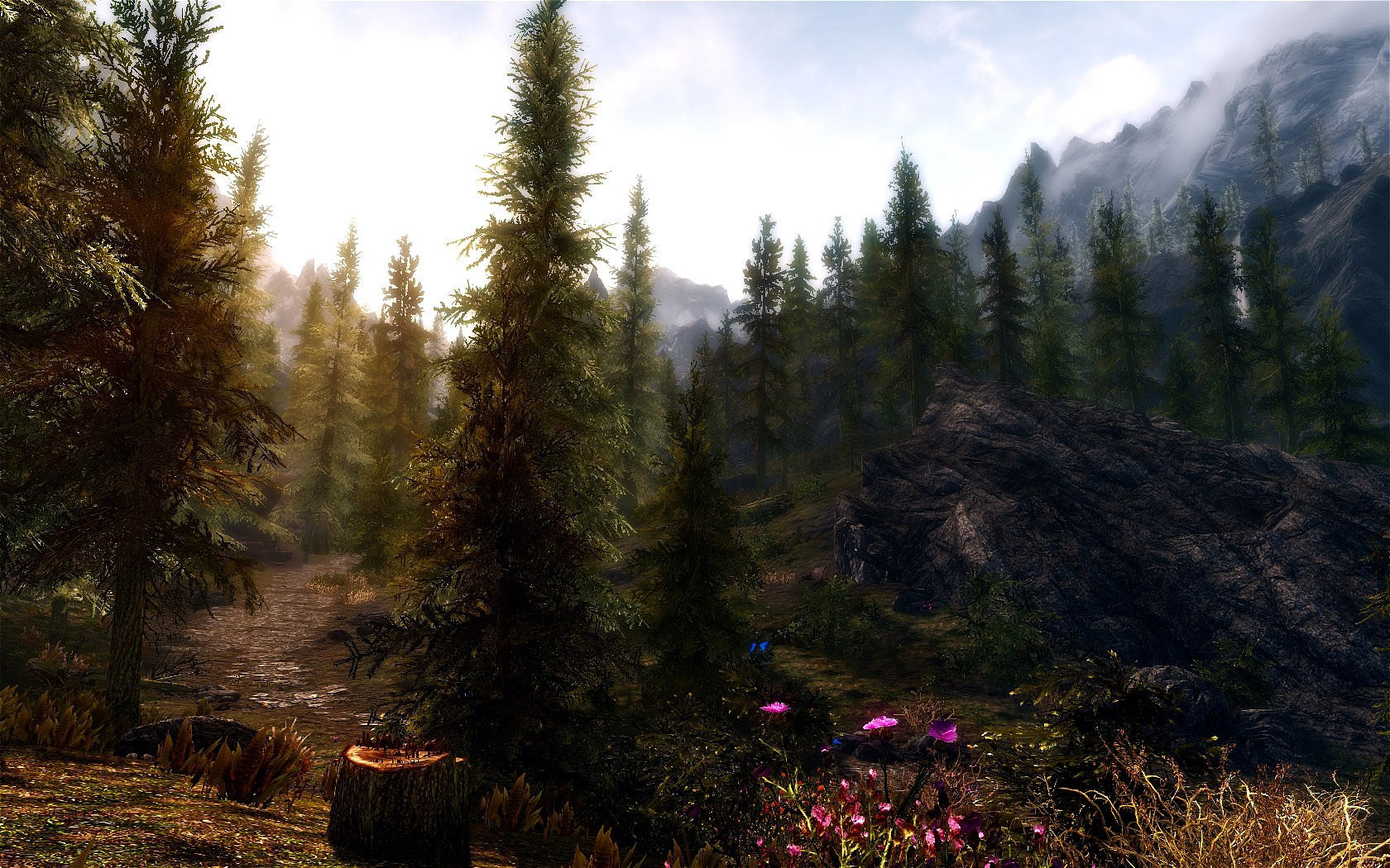 Stunning Skyrim HD Wallpaper: A Serene Woodland Scene by Vergilius