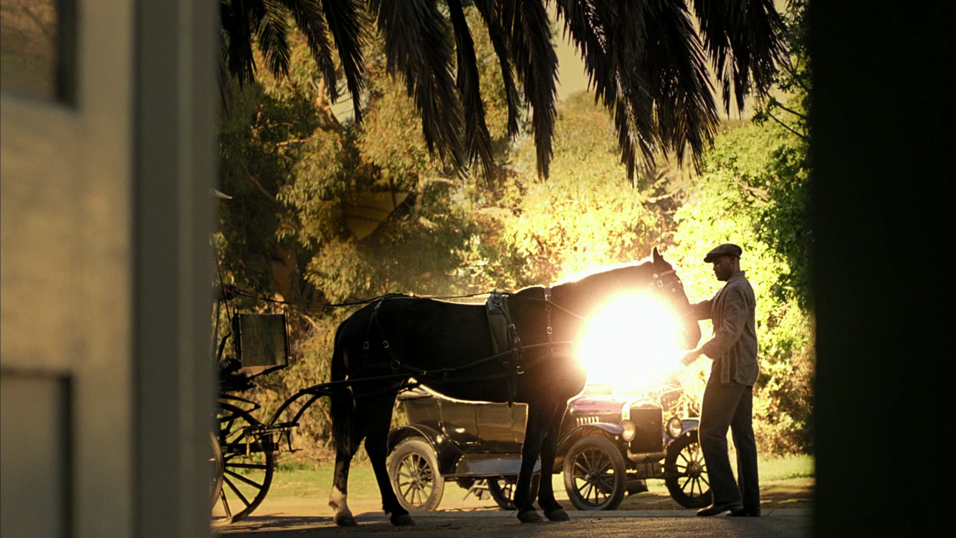 Download Movie The Fall HD Wallpaper