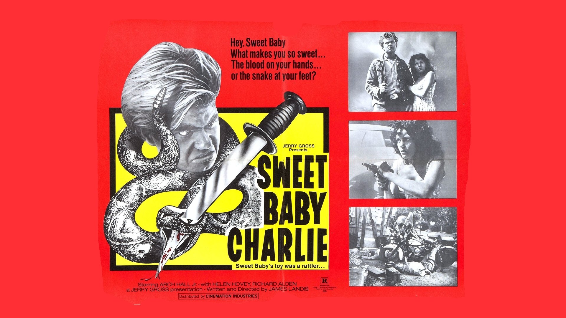 Download Movie Sweet Baby Charlie HD Wallpaper