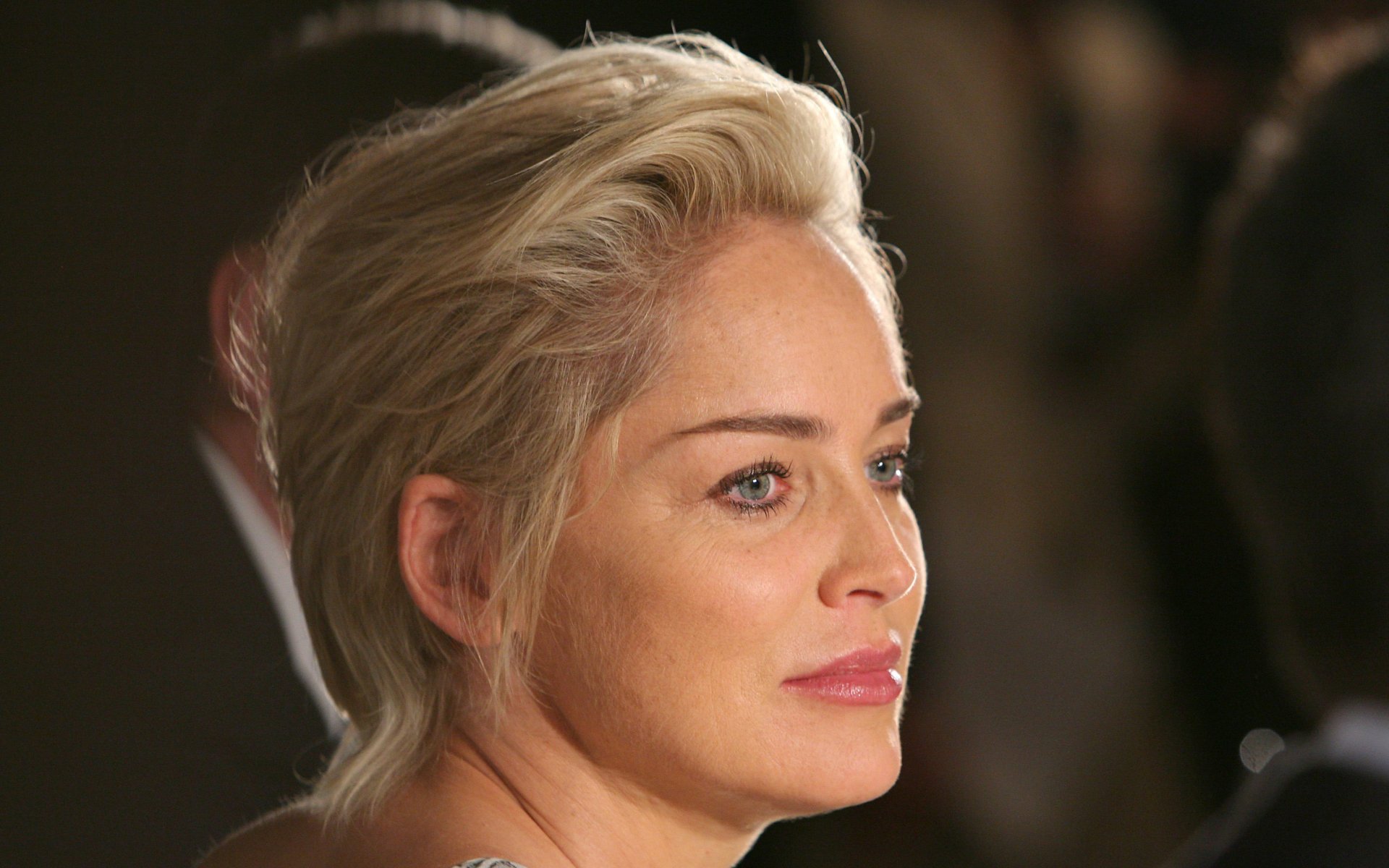 Download American Actress Celebrity Sharon Stone HD Wallpaper