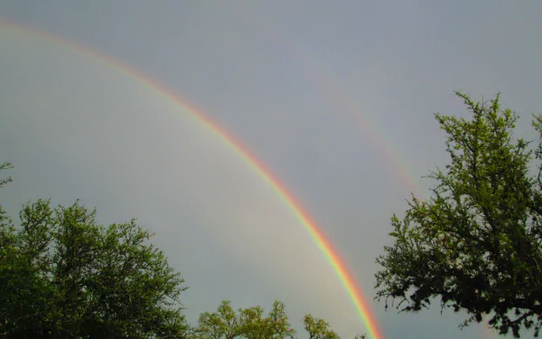 [130+] Rainbow 4k Wallpapers