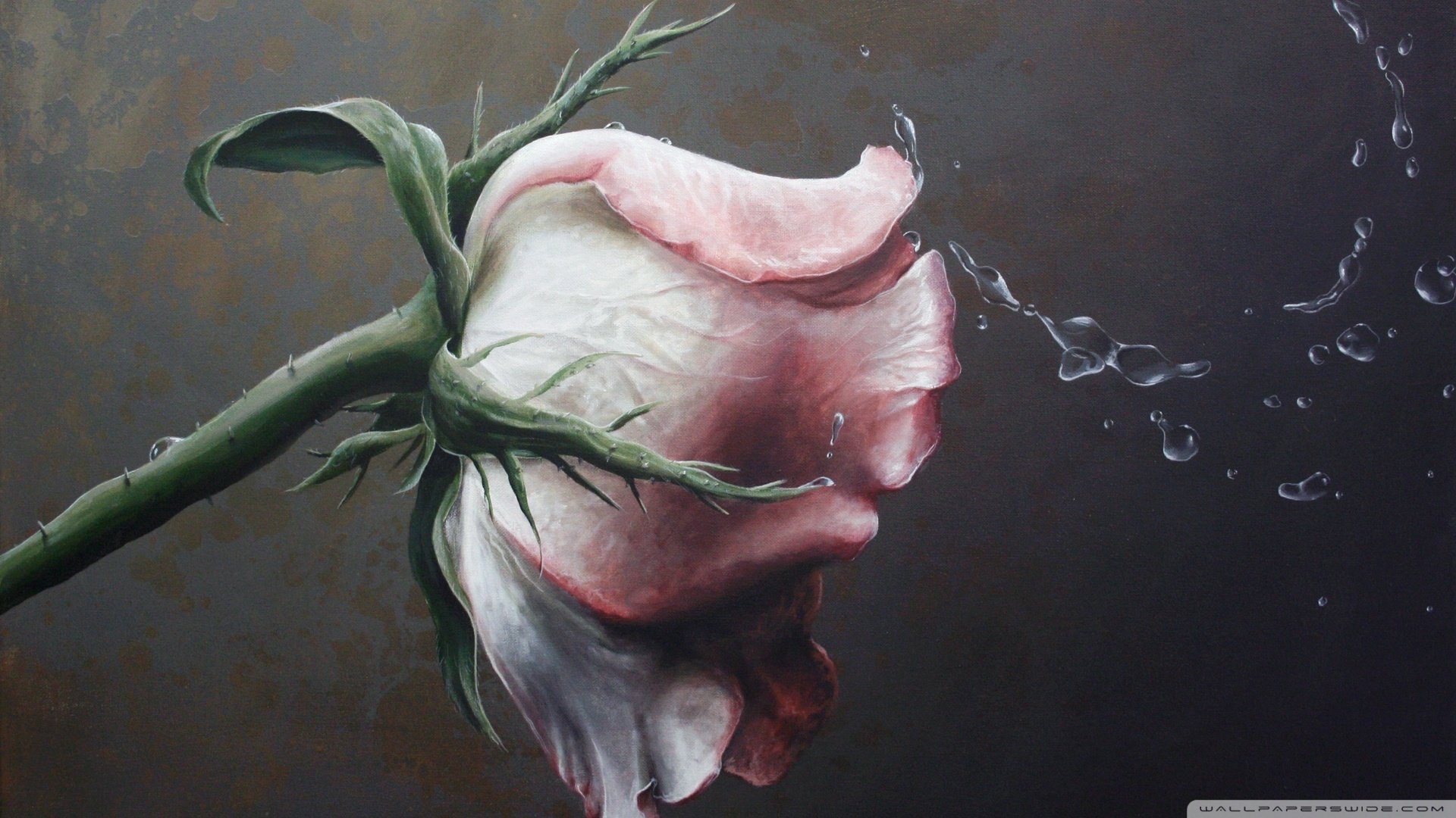 Download Artistic Rose HD Wallpaper