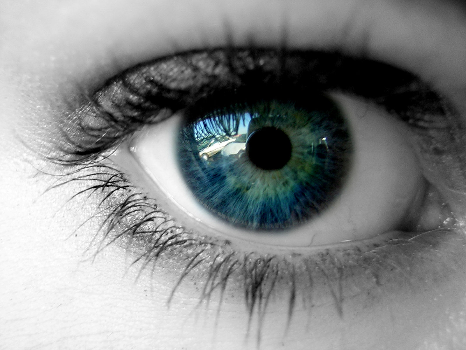 Download Artistic Eye Wallpaper