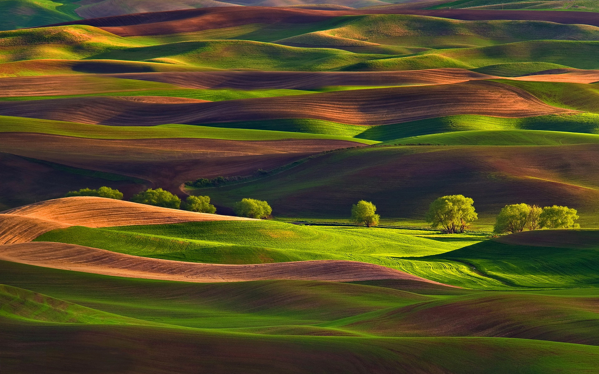 Download Nature Landscape HD Wallpaper